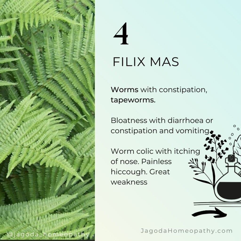 FIVE HOMEOPATHIC REMEDIES FOR WORMS OF YOUR DOG - Jagoda Homeopathy